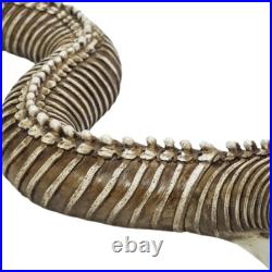 4’11 MGO Lighted LED Realistic Snake Skeleton Glowing Red Eyes ...