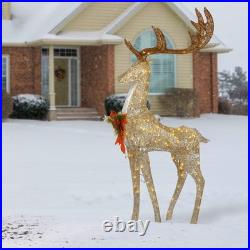 55 in. Pre-lit Crystal Champagne Standing Buck, Plug-In – Christmas ...