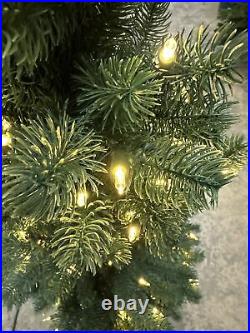 Balsam Hill Sonoma Slim 7 Foot Candlelight Clear Lights $699 Open ...